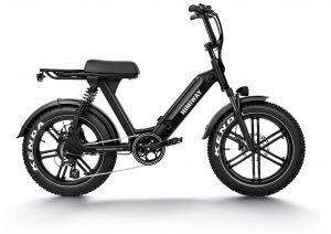 Xero2 - Synaptic Cycles